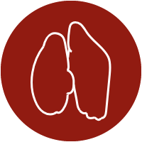 Timo - Frizelo - Frigorífico