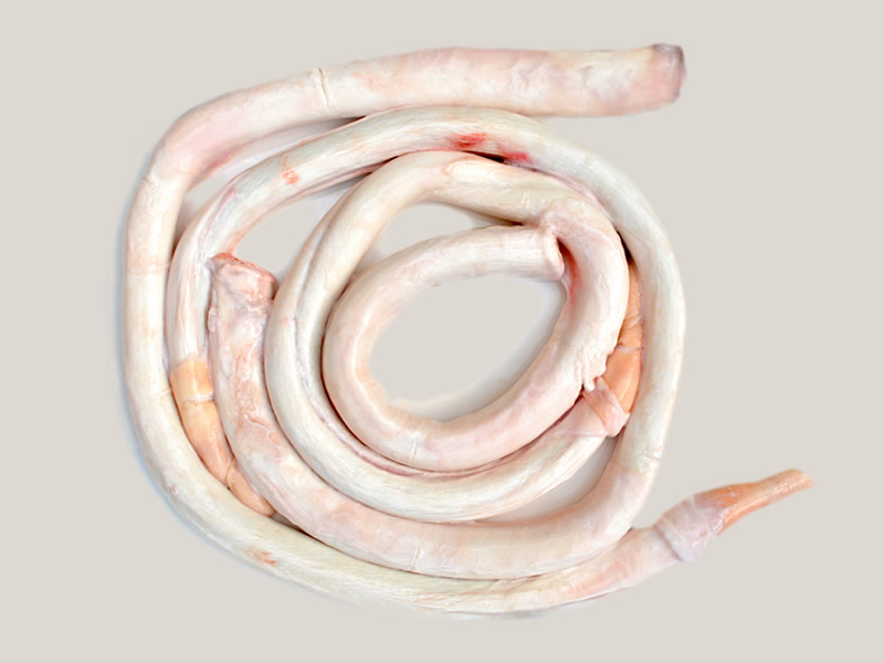 Vergalho - Frizelo - Frigorífico